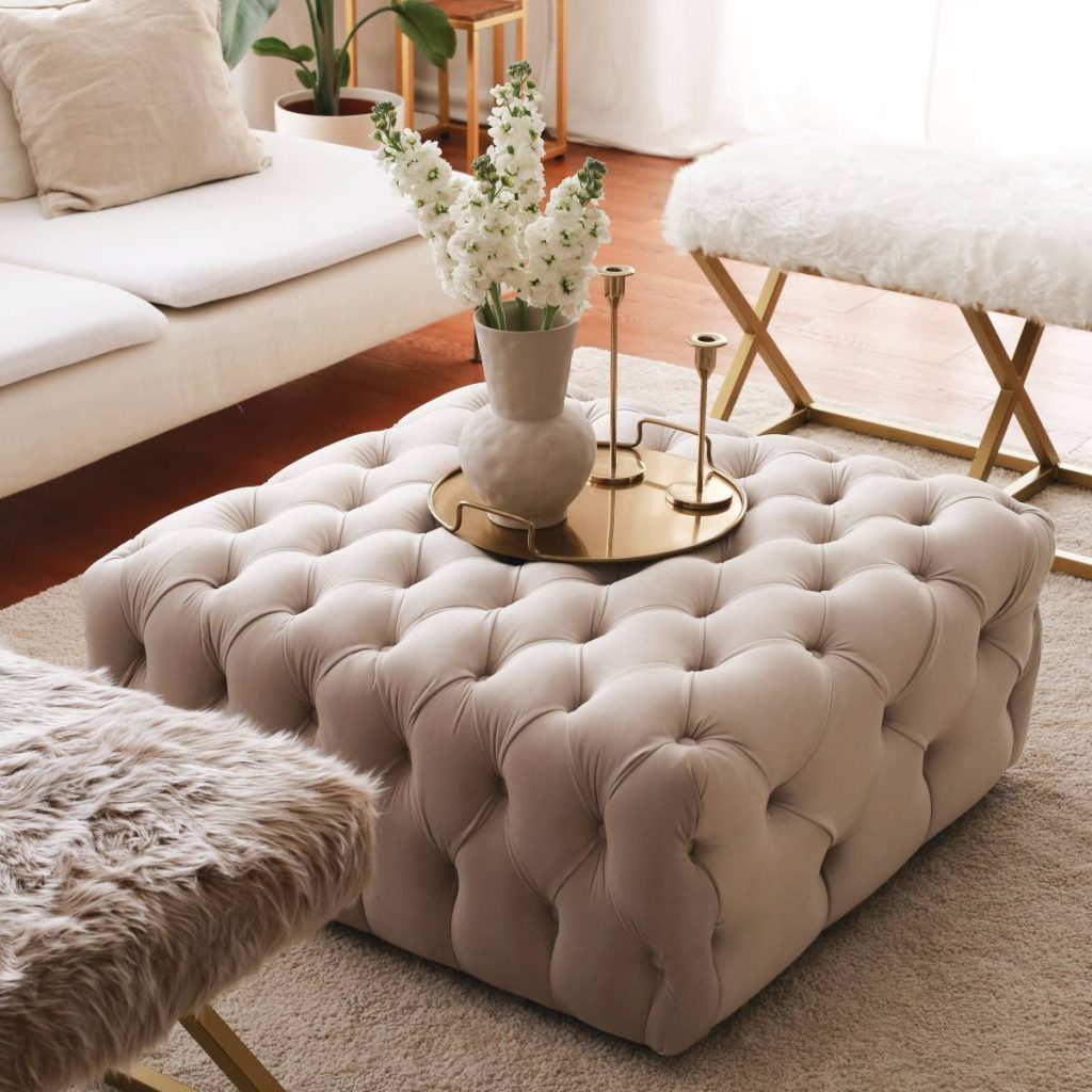 Parma Berjer - evodeko